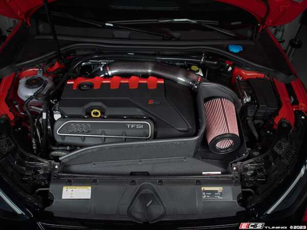 ECS - 046974LA01 - 8Y RS3 Luft-Technik Intake System