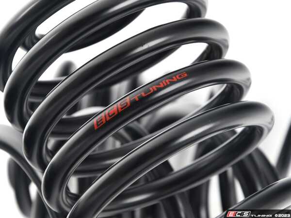 ECS - 051204LA01-A - B9 A4 / S4 Lowering Spring Set