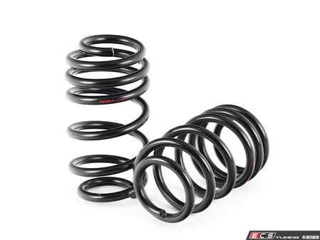ECS - 051204LA01-A - B9 A4 / S4 Lowering Spring Set