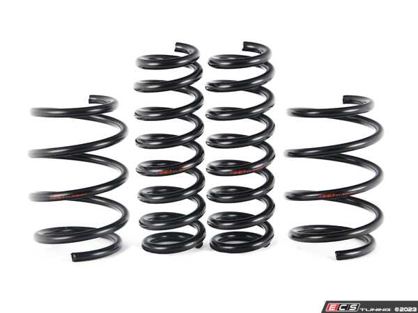 ECS - 051056LA01 - E90 xDrive Lowering Spring Set