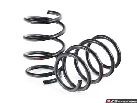 ECS - 051056LA01 - E90 xDrive Lowering Spring Set