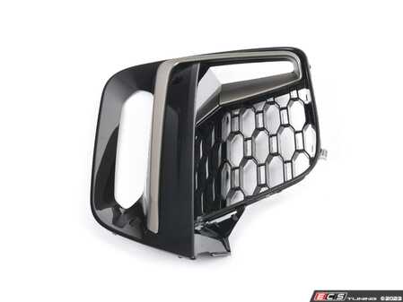 Genuine BMW - 51115A1ACA5 - GRID LATERAL LEFT (51-11-5-A1A-CA5)