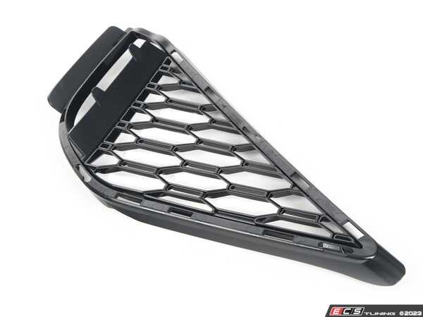 Genuine BMW - 51118069097 - GRID LATERAL LEFT (51-11-8-069-097)