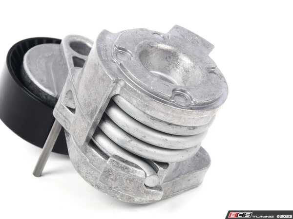 Ina - 11287530314 - Belt Tensioner Assembly