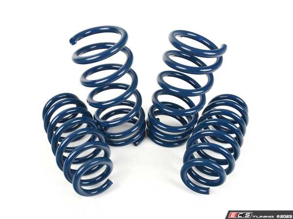 Dinan - D100-0941 - SPRING SET; TESLA MODEL Y