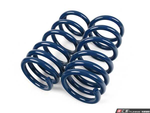 Dinan - D100-0941 - SPRING SET; TESLA MODEL Y