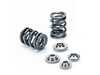 Supertech - SPRKH1000DBMST - Dual Valve Spring Upgrade Kit