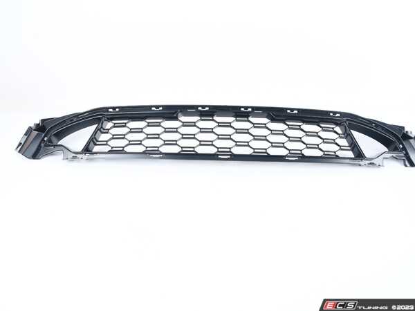 Genuine BMW - 51118072796 - Grill - Air Intake - Center (51-11-8-072-796)