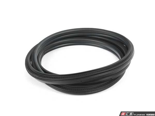 Genuine MINI - 51359808655 - Door Weather Striping - Rear (51-35-9-808-655)