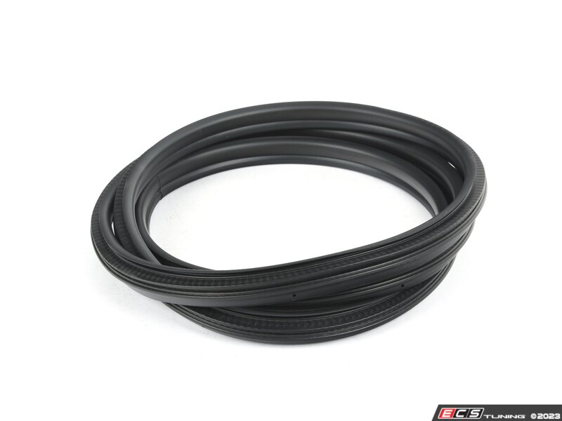 Genuine MINI - 51359808655 - Door Weather Striping - Rear (51-35-9-808-655)