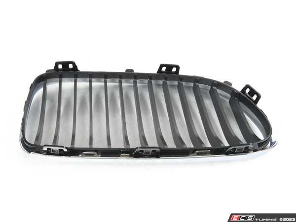 Genuine BMW - 51137254969 - Grille - Chrome Frame and Grille (51-13-7 ...