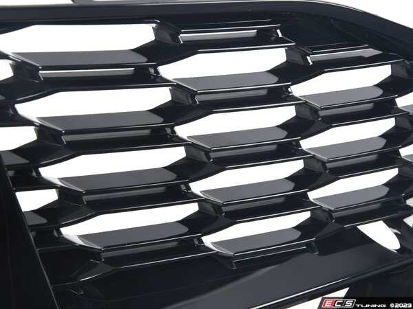 Genuine BMW - 51118075487 - GRID LATERAL LEFT (51-11-8-075-487)