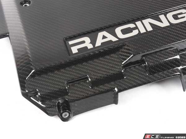 Racing Dynamics - 1317454020 - Racing Dynamics Carbon Fiber Engine Cover