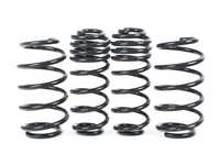Racingline - VWR31G5GT - VWR Sport Springs