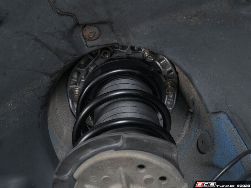 ECS - 051084LA01 - F80 M3 Lowering Springs