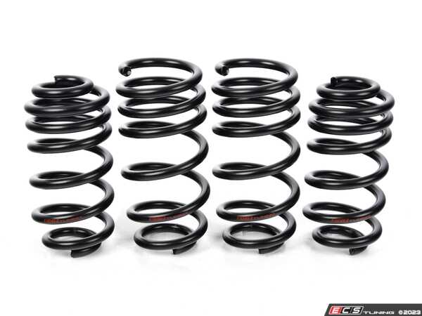 ECS - 051204LA01-A - B9 A4 / S4 Lowering Spring Set