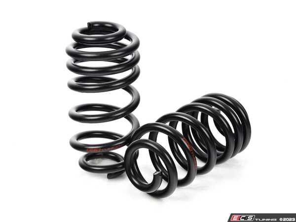 ECS - 051204LA01-A - B9 A4 / S4 Lowering Spring Set
