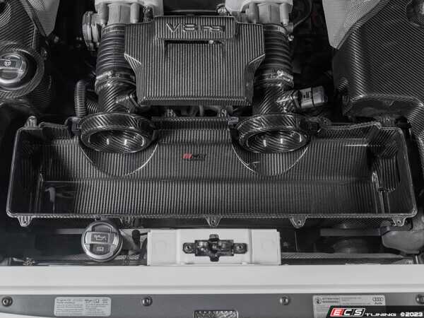 ECS - 041178LA01 - MK1 R8 V8 Carbon Fiber Performance Intake System