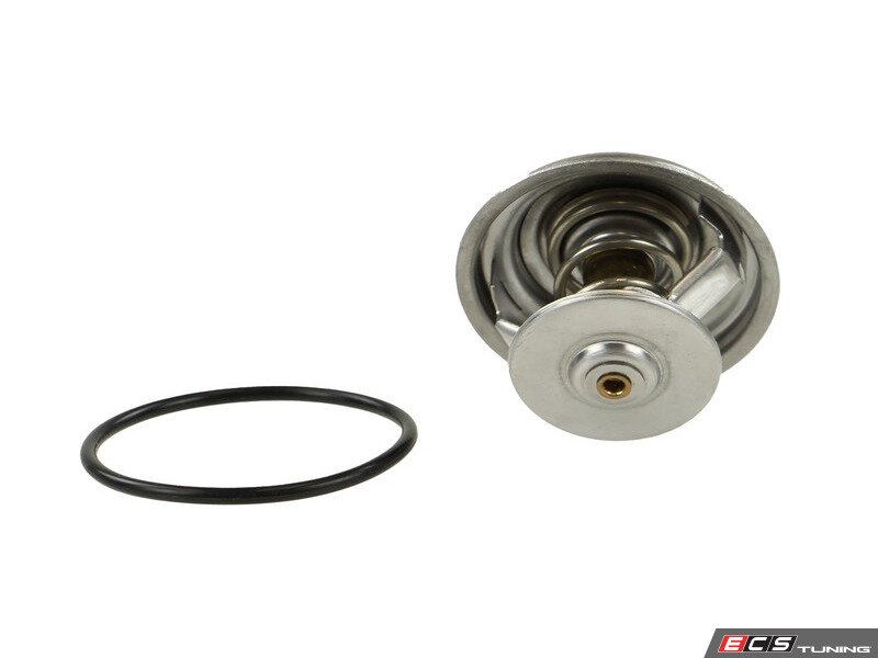 Rein - 1102000515 - Thermostat Kit - 87C