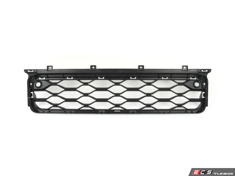 Genuine MINI - 51117422938 - GRID, CENTER (51-11-7-422-938)