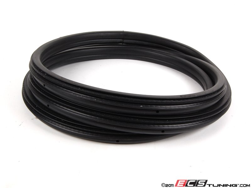 Genuine BMW - 51723449349 - E83 X3 Rear Door Seal - (NO LONGER ...