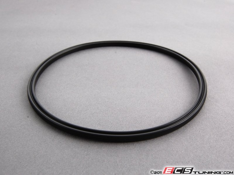 Genuine BMW - 16117170004 - Fuel Pump (16-11-7-170-004)