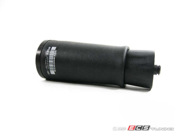 Genuine BMW - 37121095580 - Rear Pneumatic Air Spring - Right (37-12-1 ...