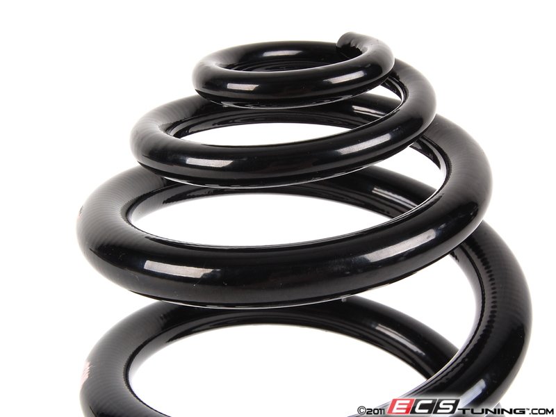 Genuine BMW - 33532283137 - E46 M3 Rear Coil Spring (33-53-2-283-137)