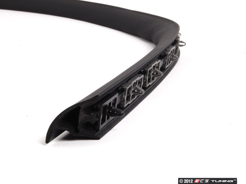 Genuine BMW - 51347004696 - E53 X5 Rear Door Seal - Right (51-34-7-004-696)