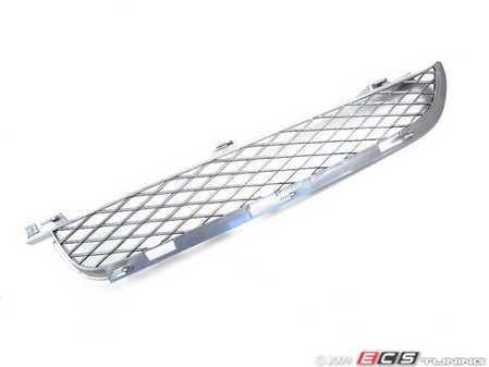 Genuine BMW - 51117130458 - Titanium Grille - Right (51-11-7-130-458)