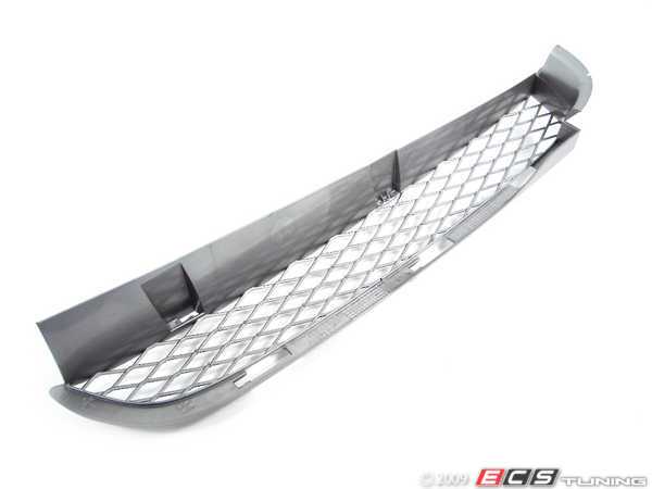 Genuine BMW - 51117130458 - Titanium Grille - Right (51-11-7-130-458)