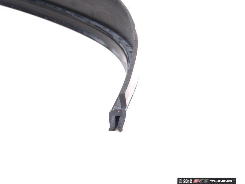 Genuine BMW - 54137069632 - Sunroof Gasket (54-13-7-069-632)