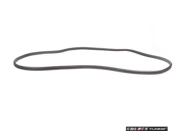 Genuine BMW - 51718403231 - E53 Hatch seal - upper (51-71-8-403-231)