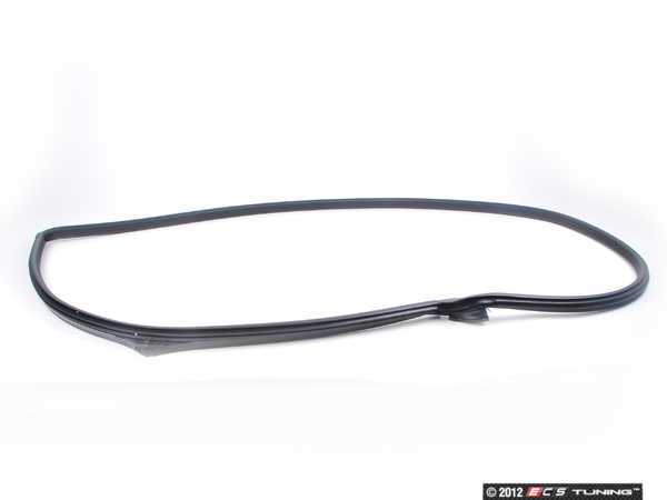 Genuine MINI - 51767151384 - Front Door Seal - Right (51-76-7-151-384)