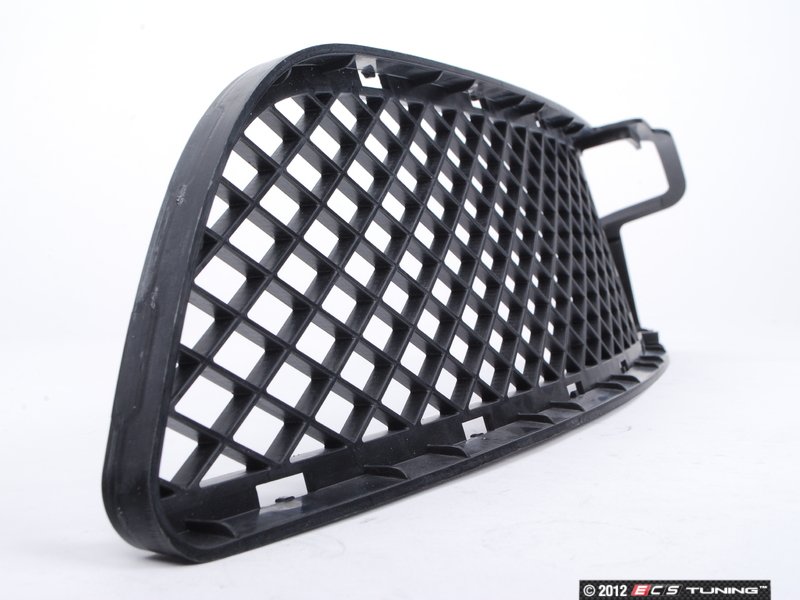 Genuine BMW - 51117154550 - E90 Bumper Grille - Center (51-11-7-154-550)