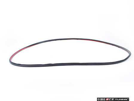 Genuine BMW - 51767060229 - Weather Strip - Front (51-76-7-060-229)