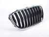 Genuine BMW - 51137203204 - Kidney Grille - Right (51-13-7-203-204)