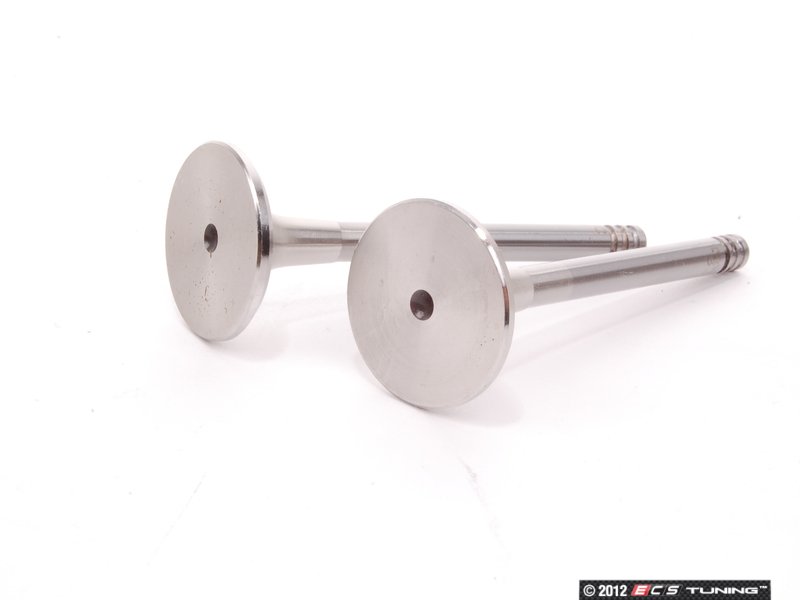 TRW - 048109611B - Exhaust Valve - Priced Each