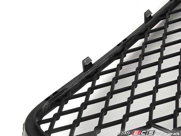 Genuine BMW - 51117163956 - Front Bumper Grille - Center (51-11-7-163-956)