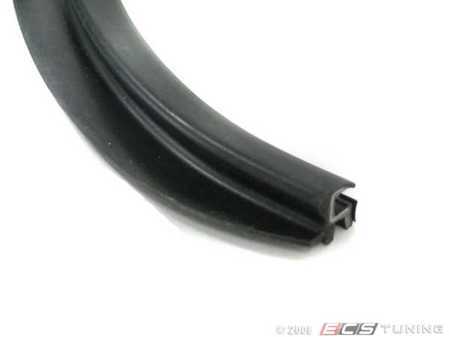 Genuine BMW - 51317027916 - Back Glass Seal (51-31-7-027-916)
