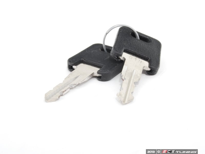 ECS News - R55 MINI With Rails Roof Rack Base Bars