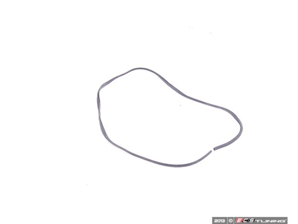 Genuine BMW - 51361904919 - Window Seal - Priced Each (51-36-1-904-919)