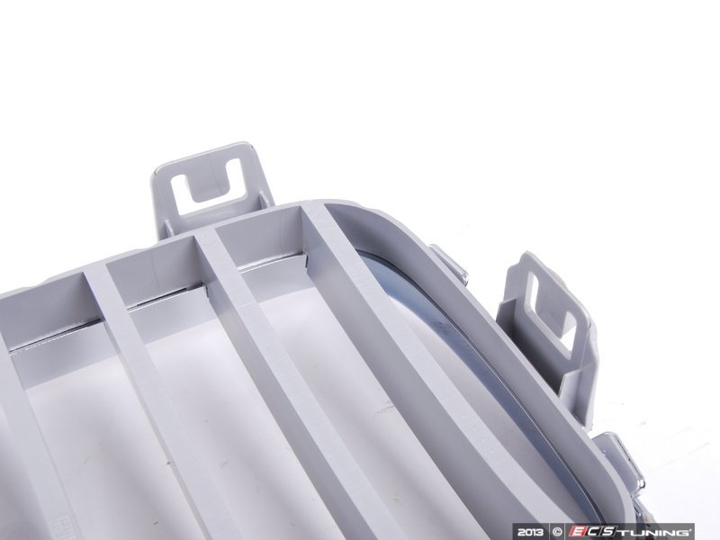 Genuine BMW - 51137263480 - Modern Line Kidney Grille - Right (51-13-7 ...