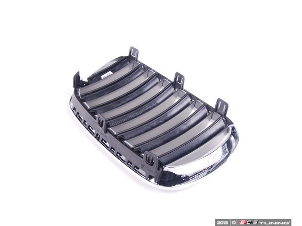 Genuine BMW - 51113420089 - Titan Kidney Grille - Left (51-11-3-420-089)