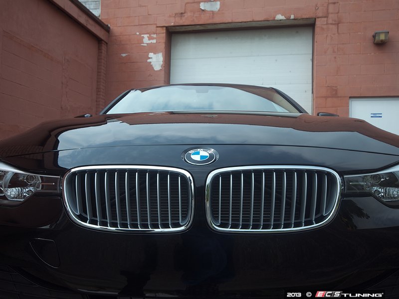 Genuine BMW - 51137263480 - Modern Line Kidney Grille - Right (51-13-7 ...