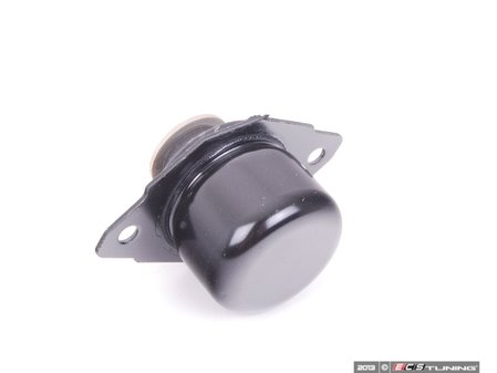 Rein - 191199402C - Transmission Mount - Left