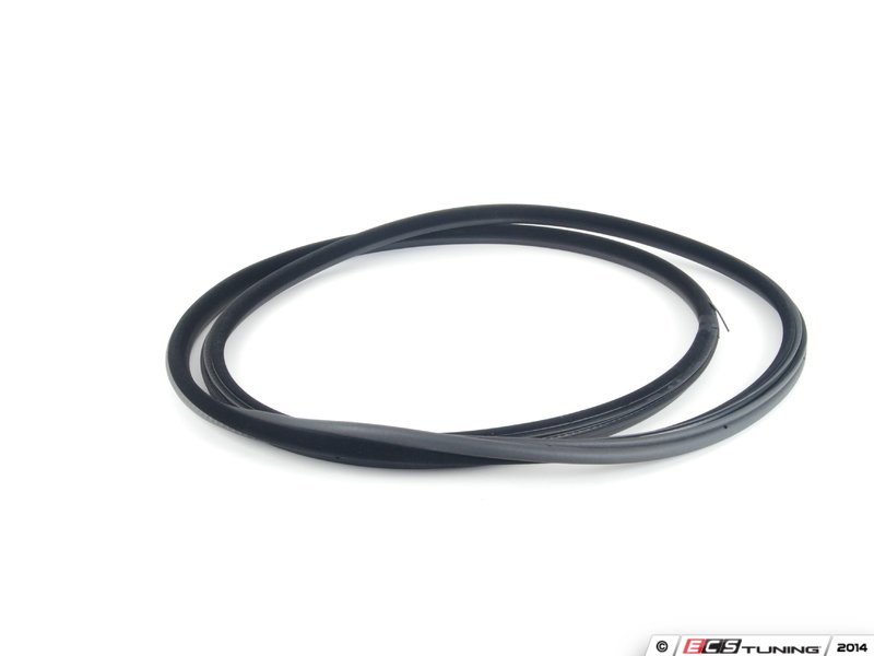 Genuine BMW - 51727025580 - E53 X5 Rear Door Seal - priced each (51-72 ...