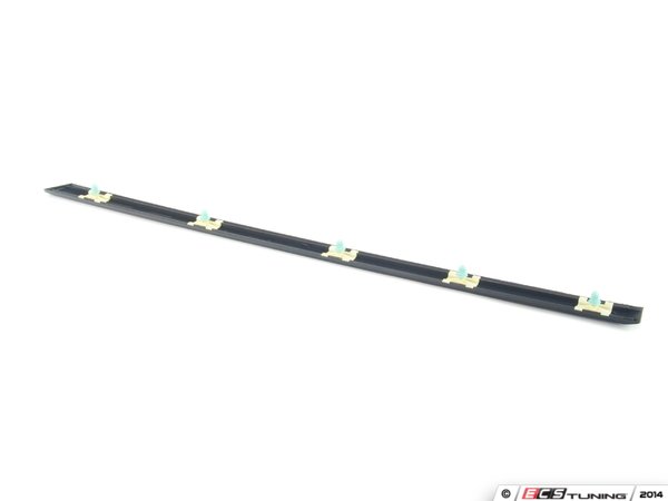 Genuine BMW - 51138159298 - Rear Door Moulding - Right (51-13-8-159-298)