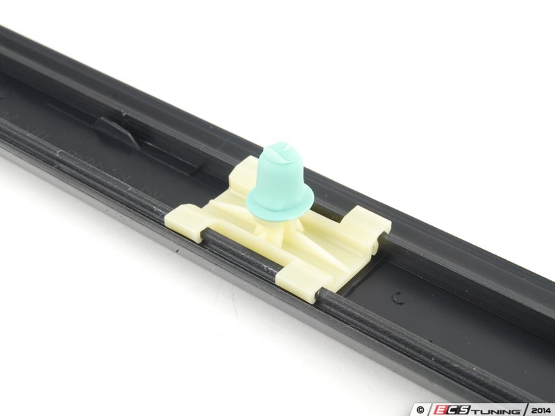 Genuine BMW - 51138159298 - Rear Door Moulding - Right (51-13-8-159-298)