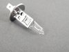 Genuine Volkswagen Audi - N0177612 - H1 Halogen Bulb - Priced Each